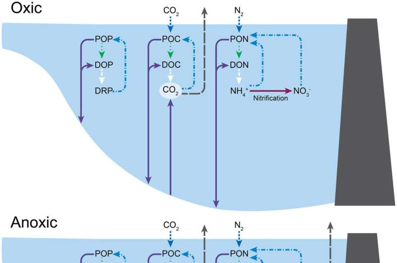 A vicious cycle of oxygen loss threatens water quality in lakes – GET WET!