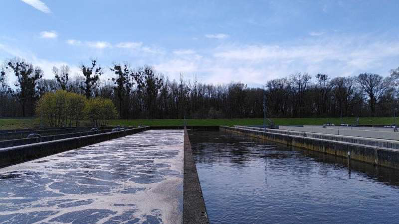 Improving phosphorus recycling from sewage sludge – GET WET!