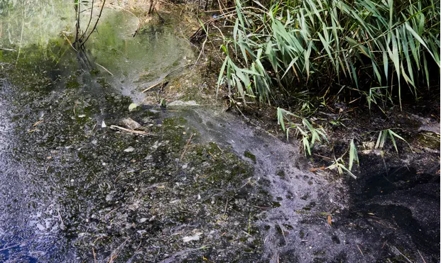 Starmer criticises government’s ‘flimsy’ plan over water pollution in ...