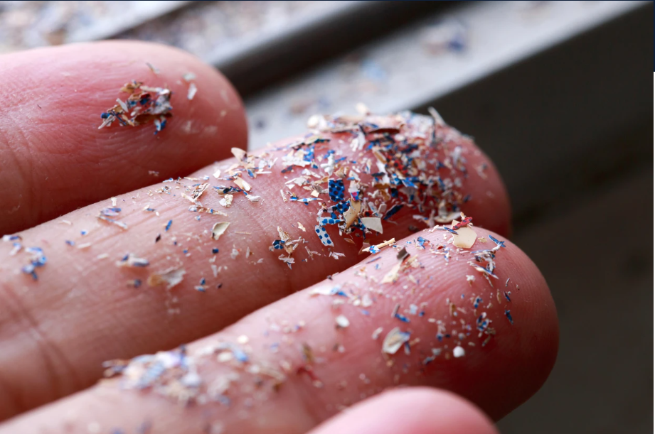 Pulsing ultrasound waves could someday remove microplastics from ...