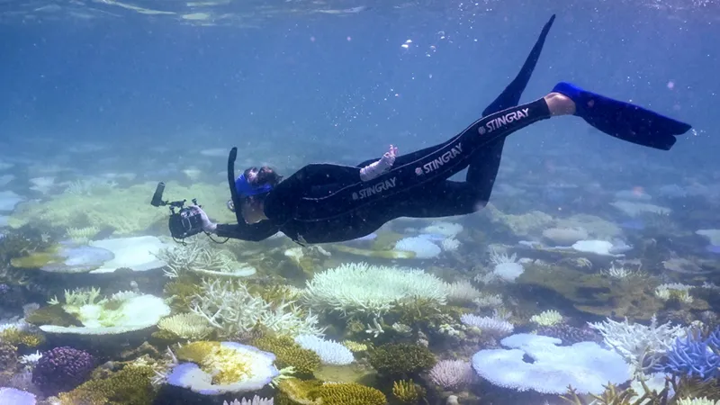 Climate change: World’s oceans suffer from record-breaking year of heat ...