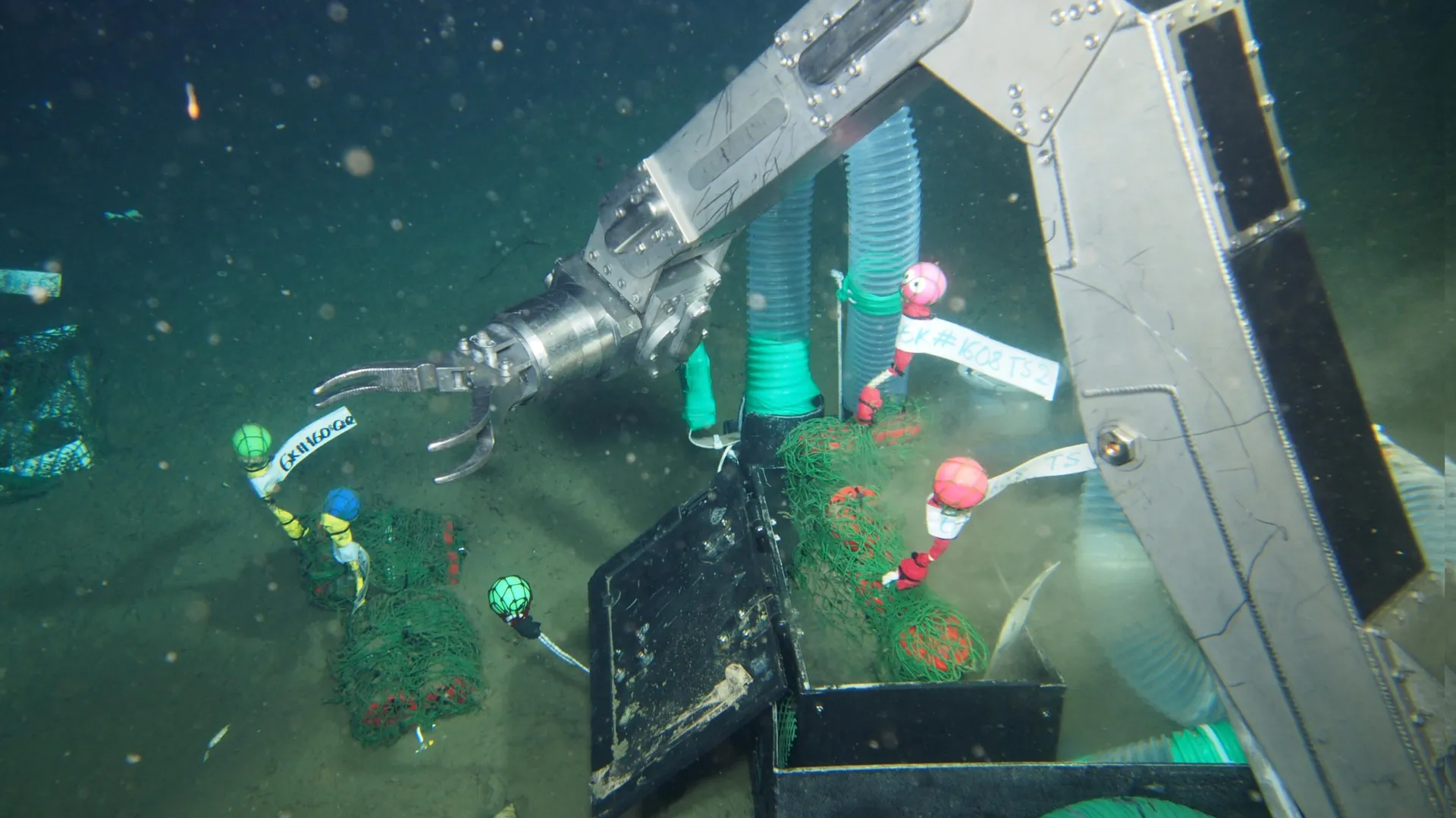 This plastic disappears in the deep sea—and microbes make it happen ...
